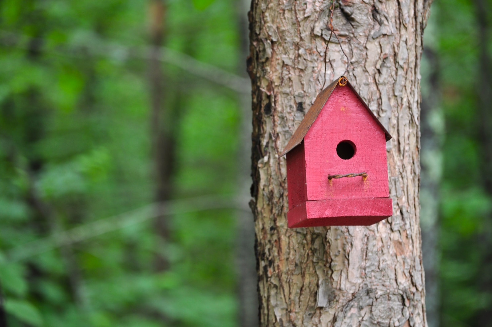 turning-waste-into-wonders-fun-diy-projects-with-recycled-materials