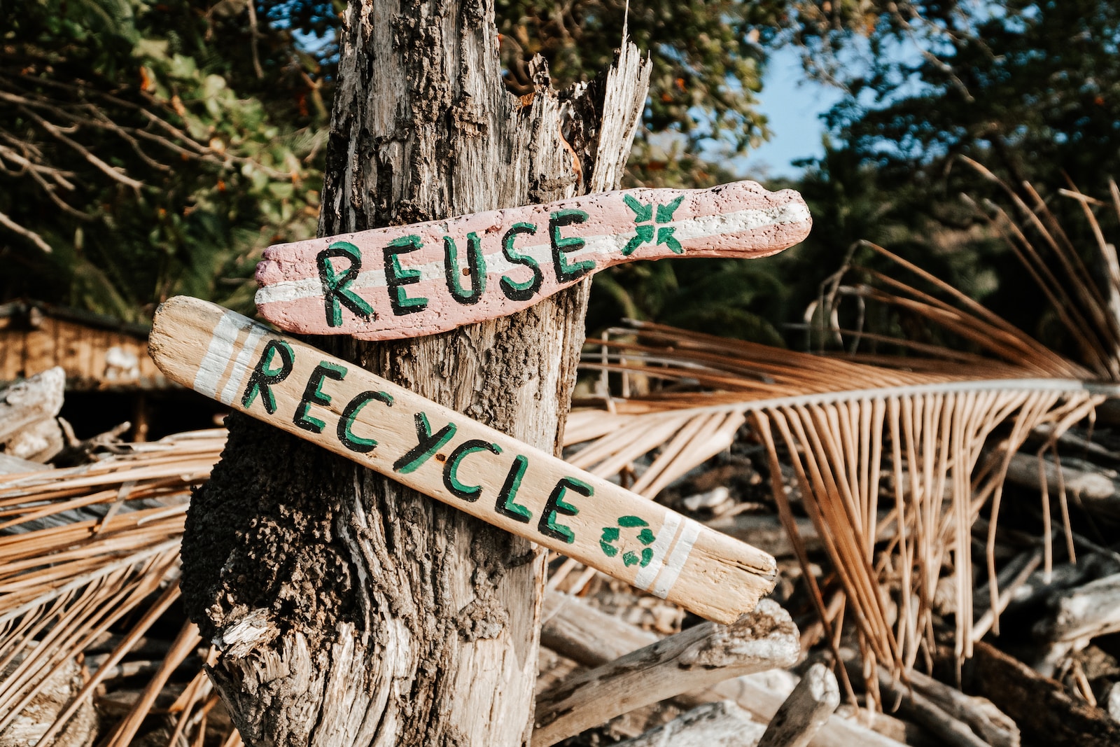 The Ultimate Guide to Recycling with Smart Sort: Reduce, Reuse, and ...