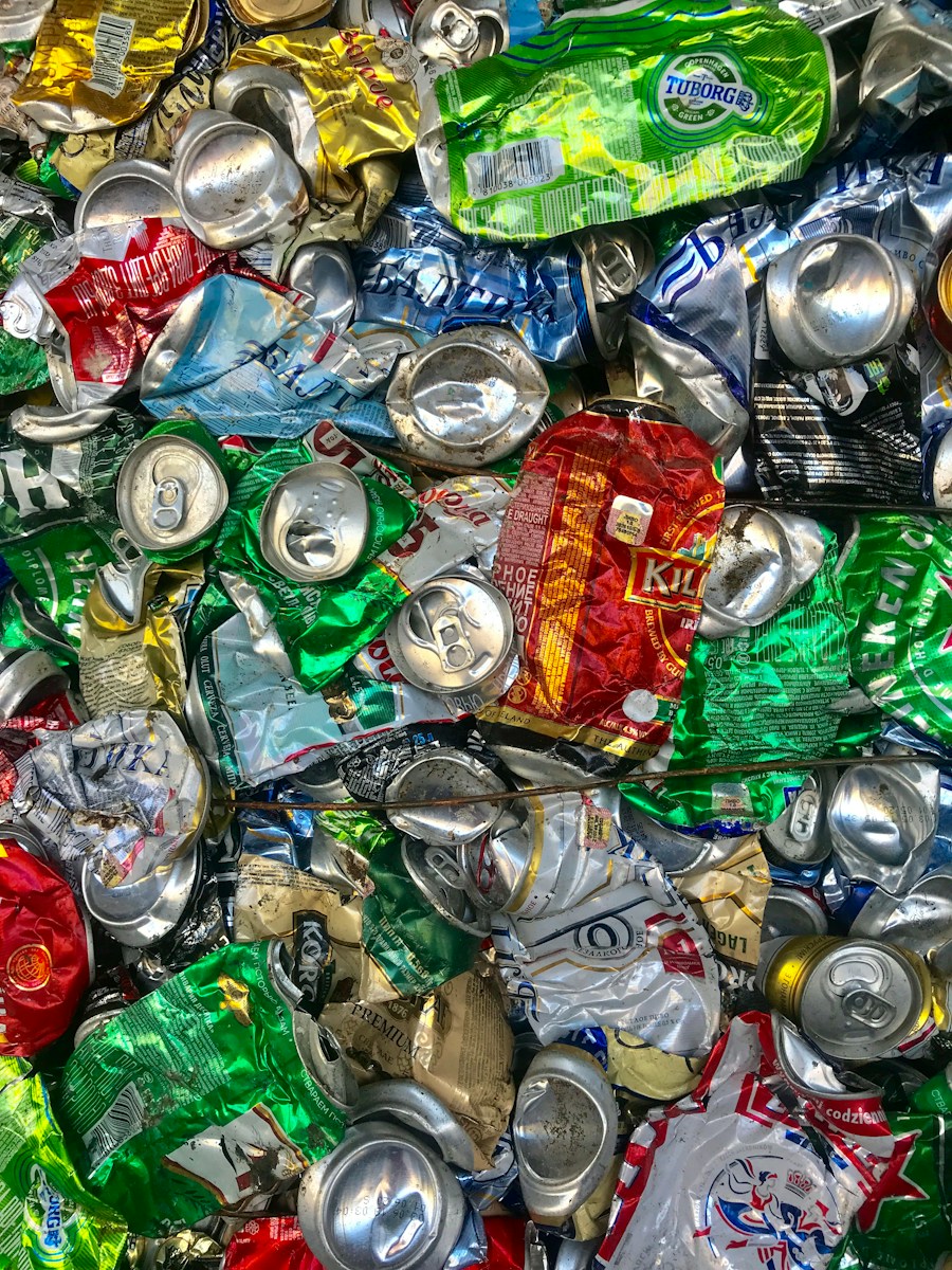 Recycling 101: A Comprehensive Guide to Recycling in the USA ...